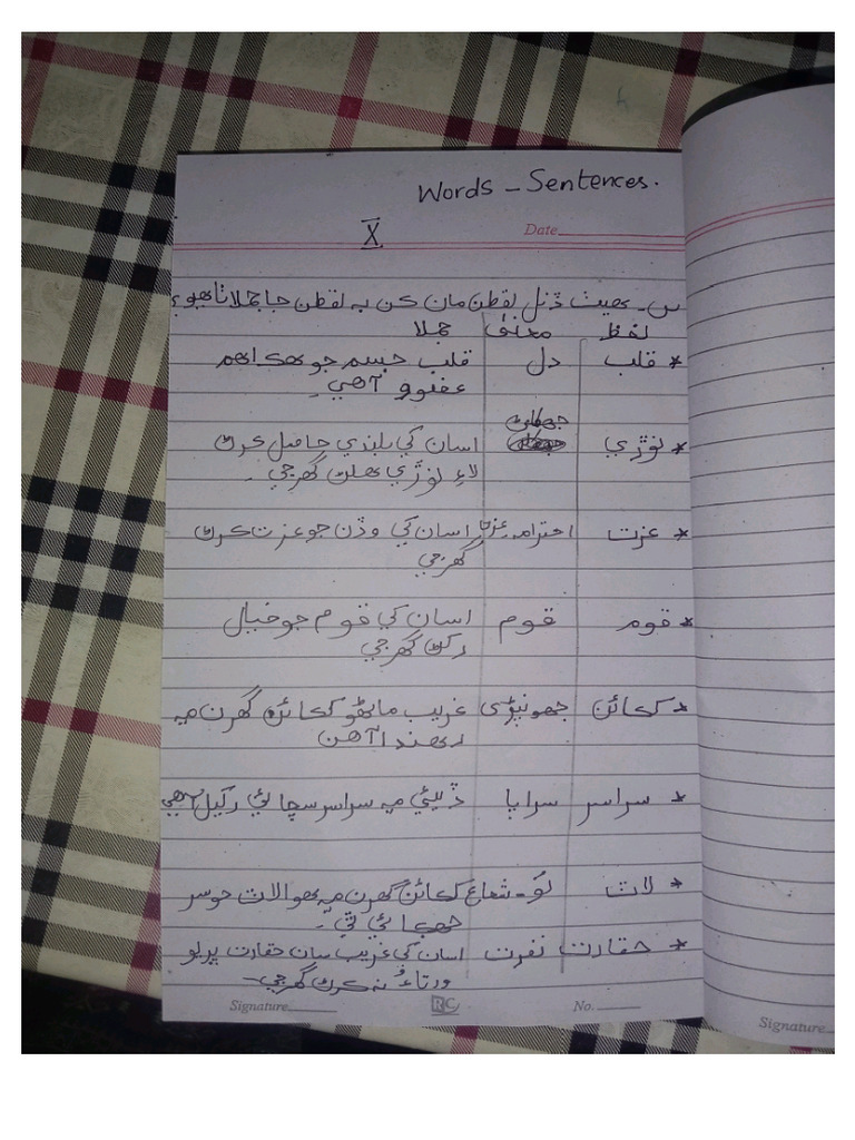 Sindhi (Alfaz - Jumla) (Wahid - Jama) | PDF