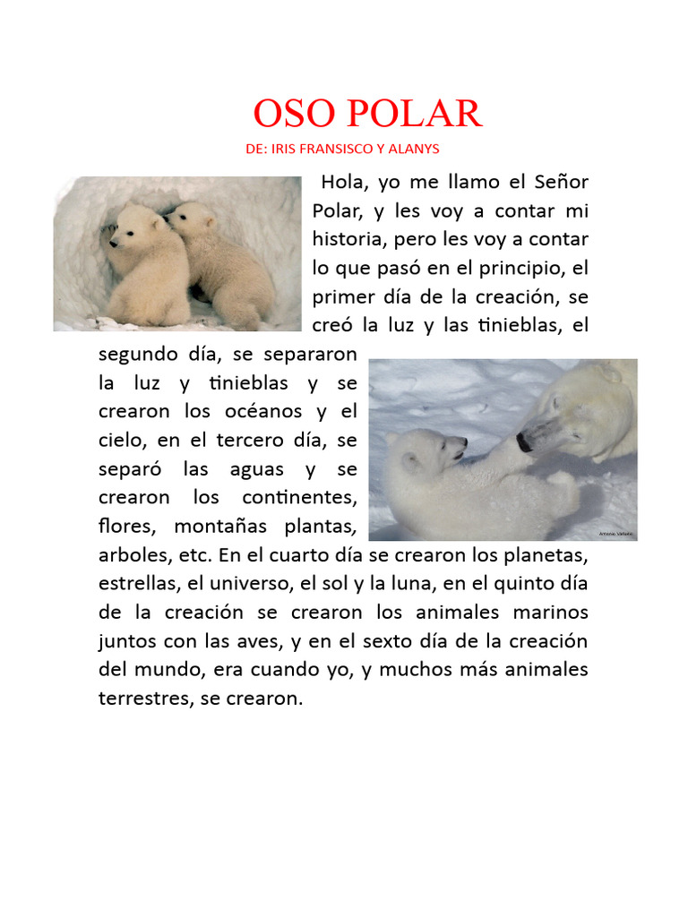 Oso Polar | PDF | Oso polar | Osos