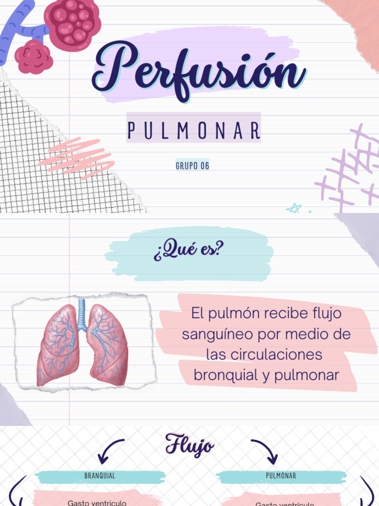 Resistencia Vascular Pulmonar y Perfusión | PDF | Sistema circulatorio ...