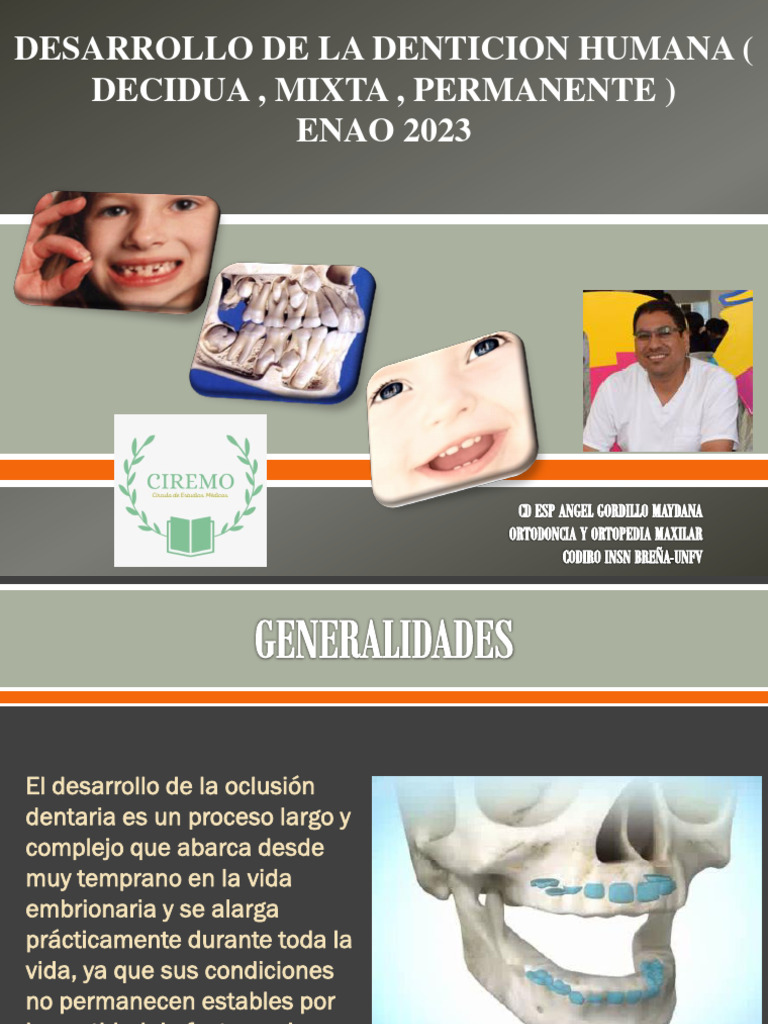 Desarrollo de La Denticion Humana Enao 2023 | PDF | Diente | Odontología