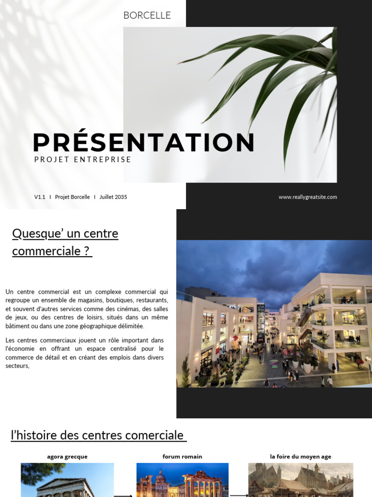 Présentation du projet Borcelle | PDF | Commerce de détail | Business