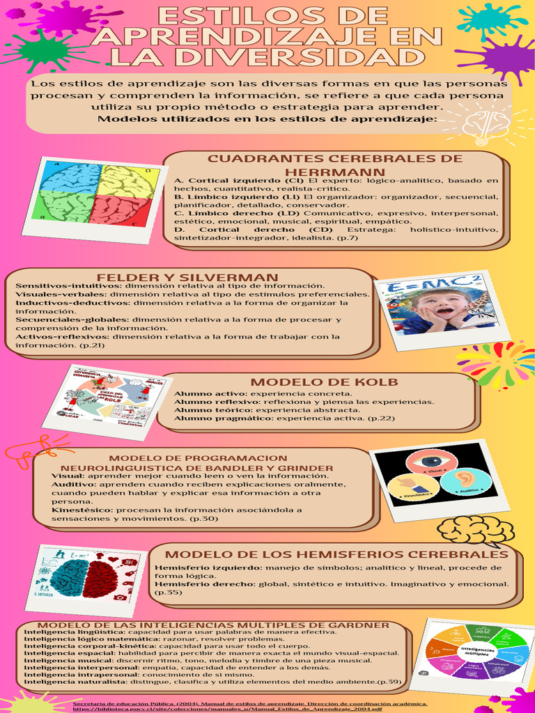 Infografia Estilos de Aprendizaje | PDF | Aprendizaje | Inteligencia