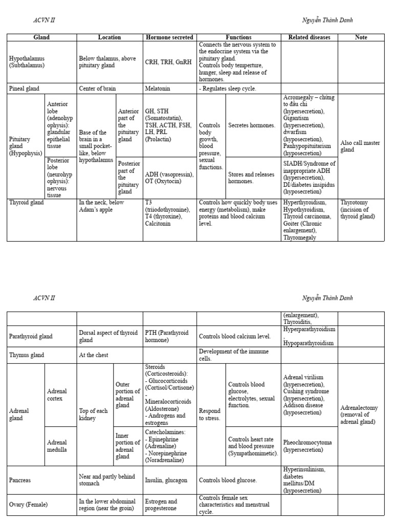 Gland of Endocrine System - AVCN2 | PDF | Adrenal Gland | Pituitary Gland