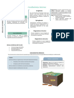 Sopa de Letras Sismos. | PDF