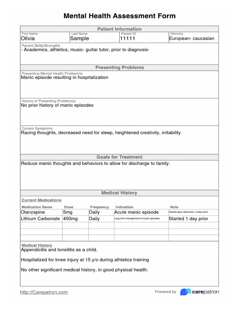Mental Health Assessment Form Example | PDF | Mania | Mental Health