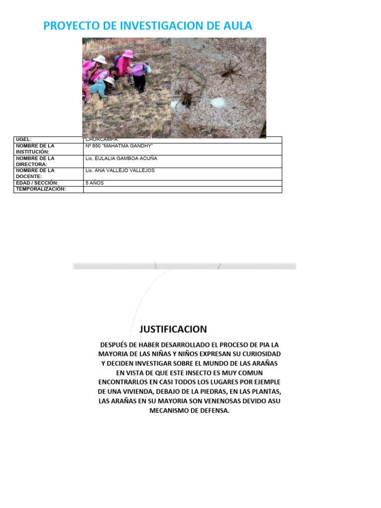 Proyecto Pia Las Arañas Ana Ximena | PDF | Experiencia | Creatividad