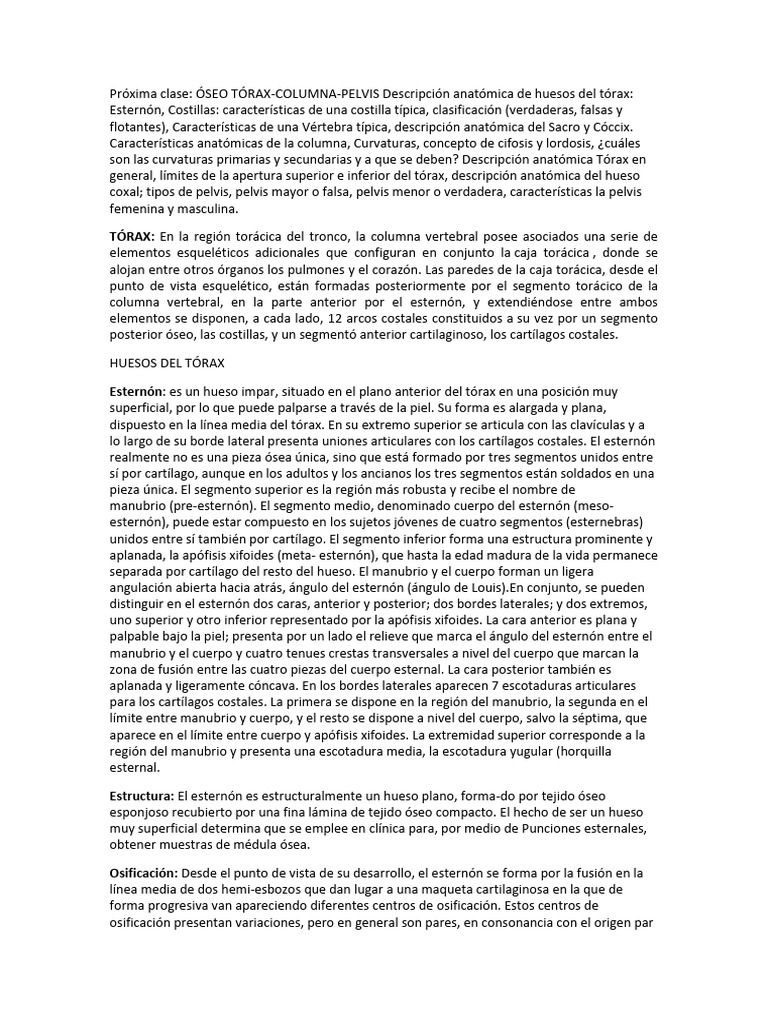 Guia de Contenido El Torax | PDF | Pelvis | Tórax