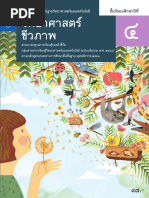 รายละเอียด Khemjira the Gloden Time Concert Main Project | PDF