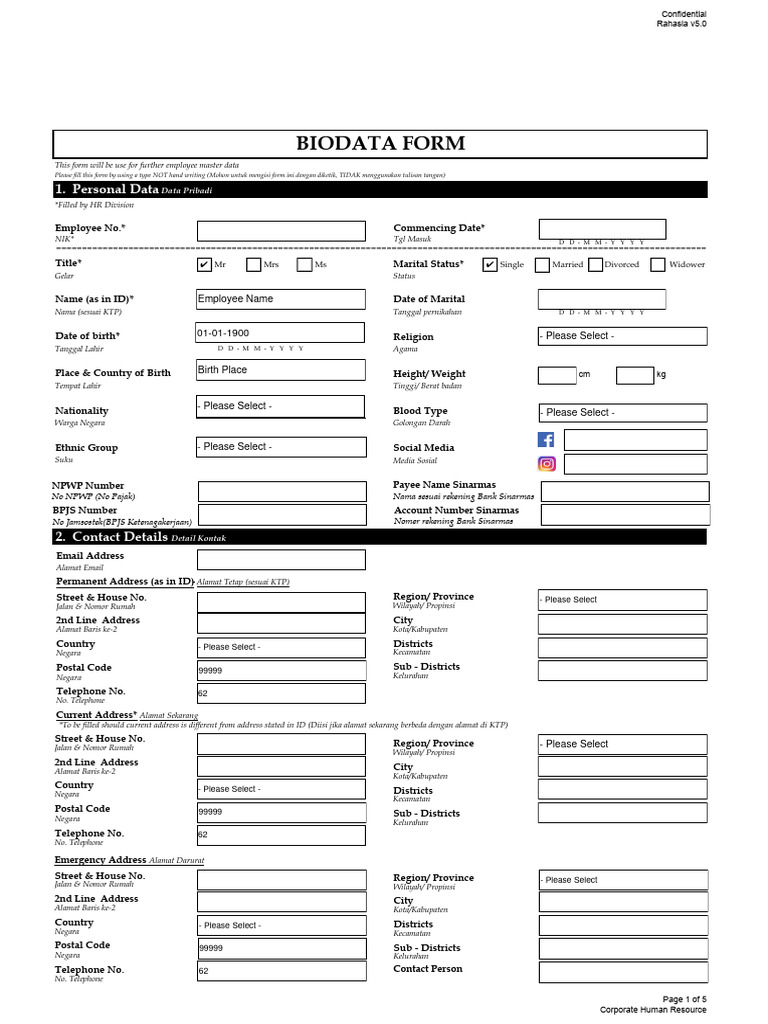 Employee Biodata Form Template | PDF