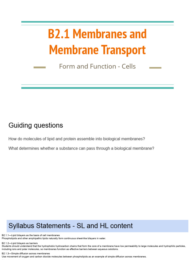 B2.1 Membranes and Membrane Transport (SL - HL) | PDF | Cell Membrane ...