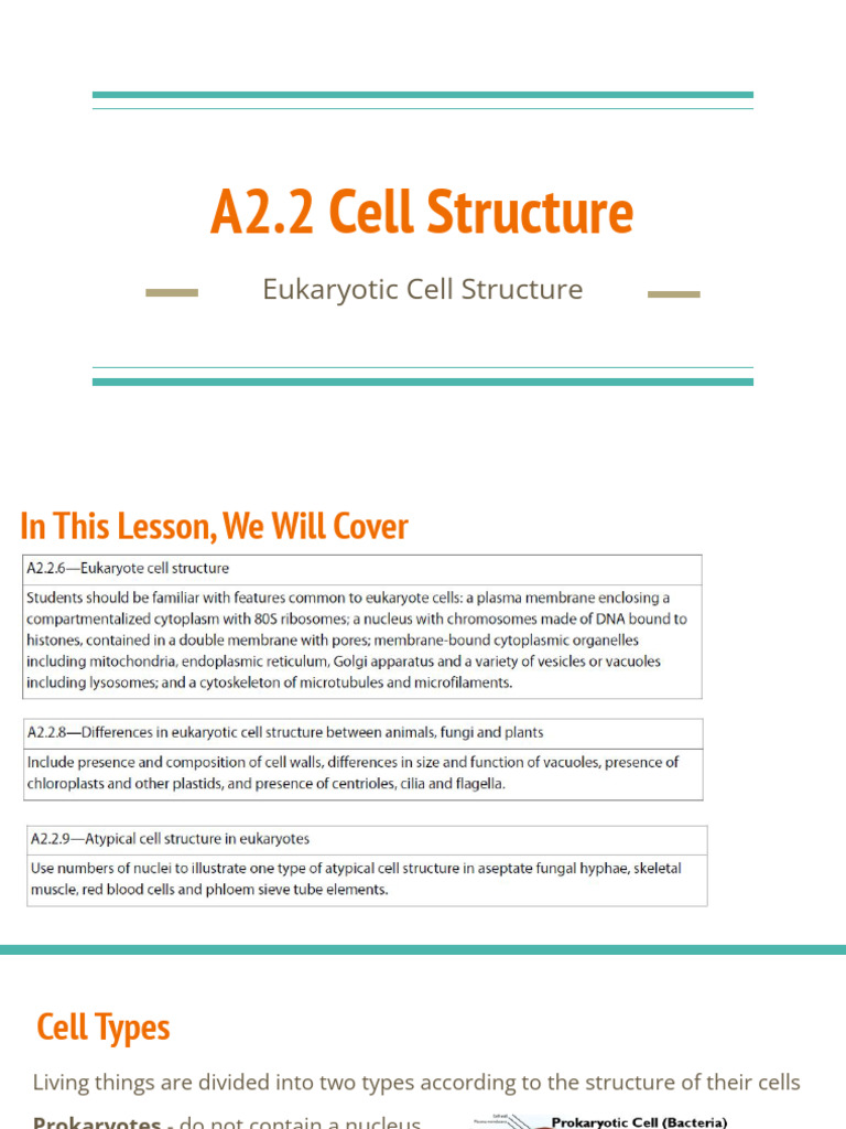 A2.2 Eukaryotic Cell Structure | PDF | Endoplasmic Reticulum | Cell ...