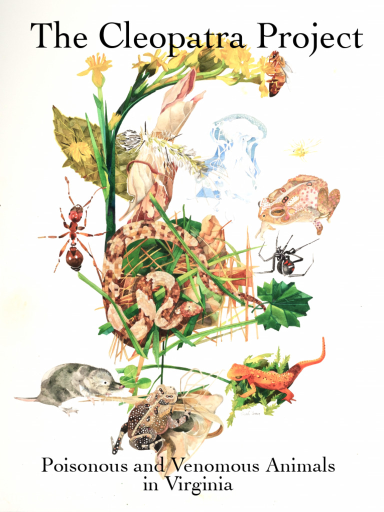 Cleopatra Project | PDF | Venom | Ant