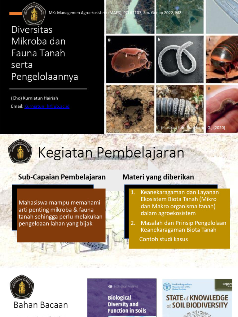 M3 - Diversitas Mikroba Dan Fauna Tanah Serta Pengelolaannya | PDF