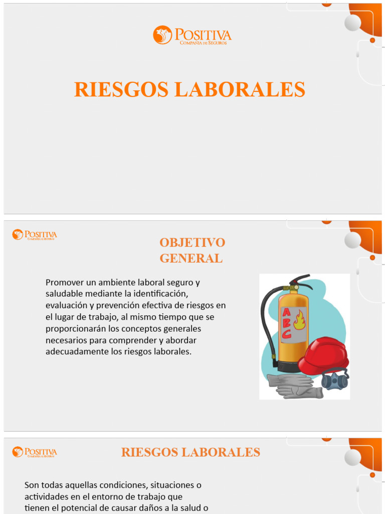 Riesgos Laborales Actualizado | PDF | Riesgo