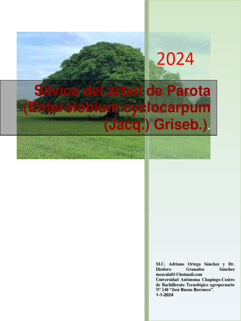 0000 Silvica de Parota (Enterolobiumcyclocarpum) 02 | PDF | Germinación ...