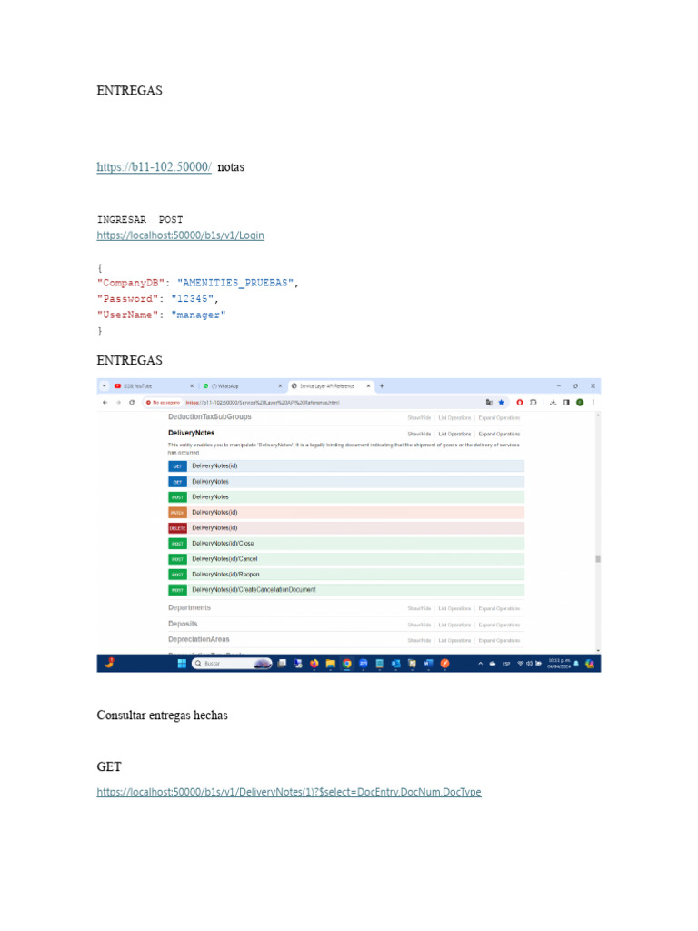 Entregas Service Layer | PDF