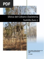 Silvicultura del árbol Bonete en México | PDF | Flores | Germinación