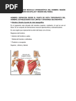 Región Axilar Resumen Prrre | PDF | Tórax | Anatomía humana