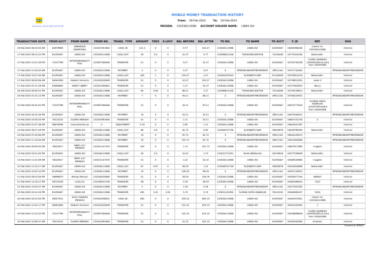 Momo Statement Report | Download Free PDF | Banking Technology | Payments