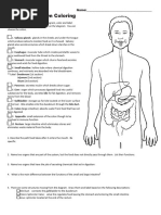 Digestive System Coloring Worksheet | PDF | Human Digestive System ...