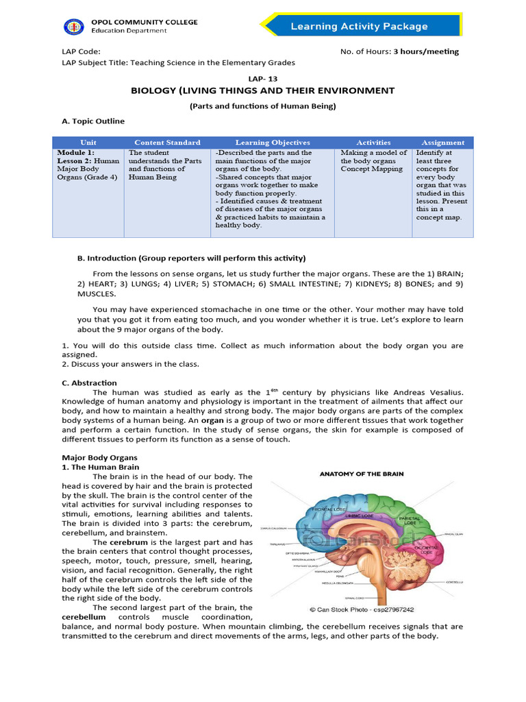 LAP 13 Human Major Organs GR 4 | PDF | Prosthesis | Lung