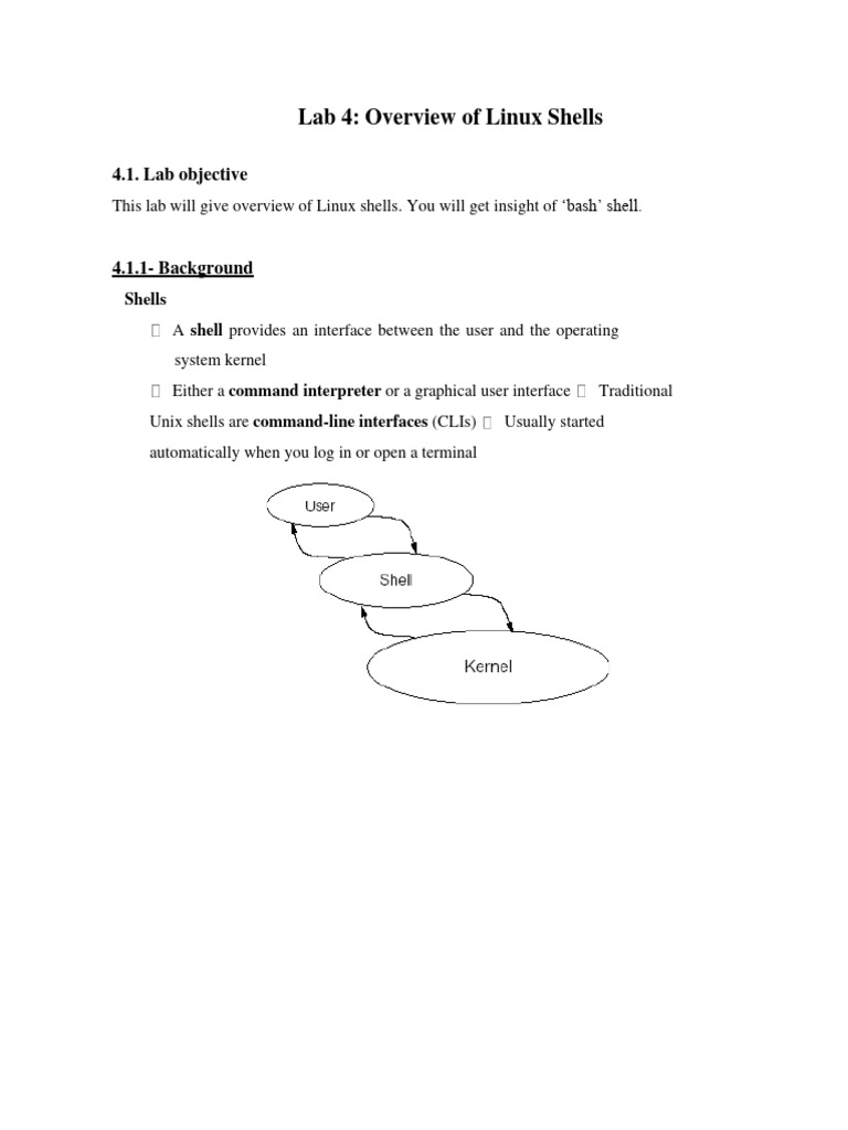OS Lab 4 | PDF | Command Line Interface | Software