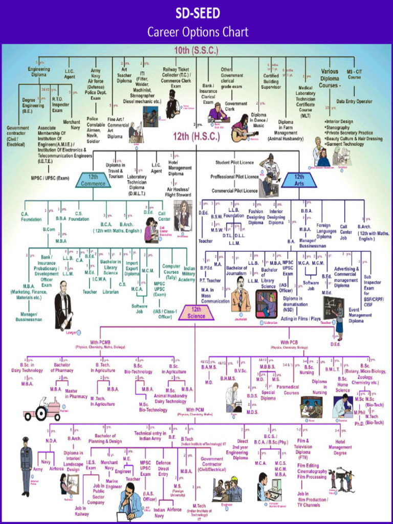 Career Option | PDF