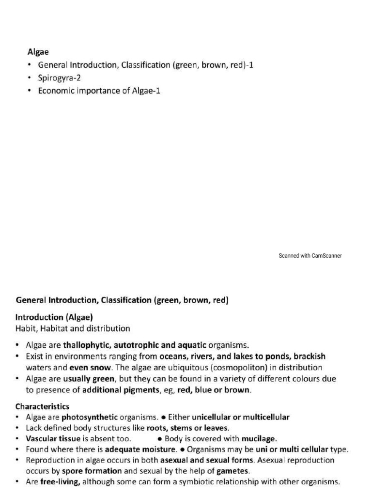 Algae | PDF