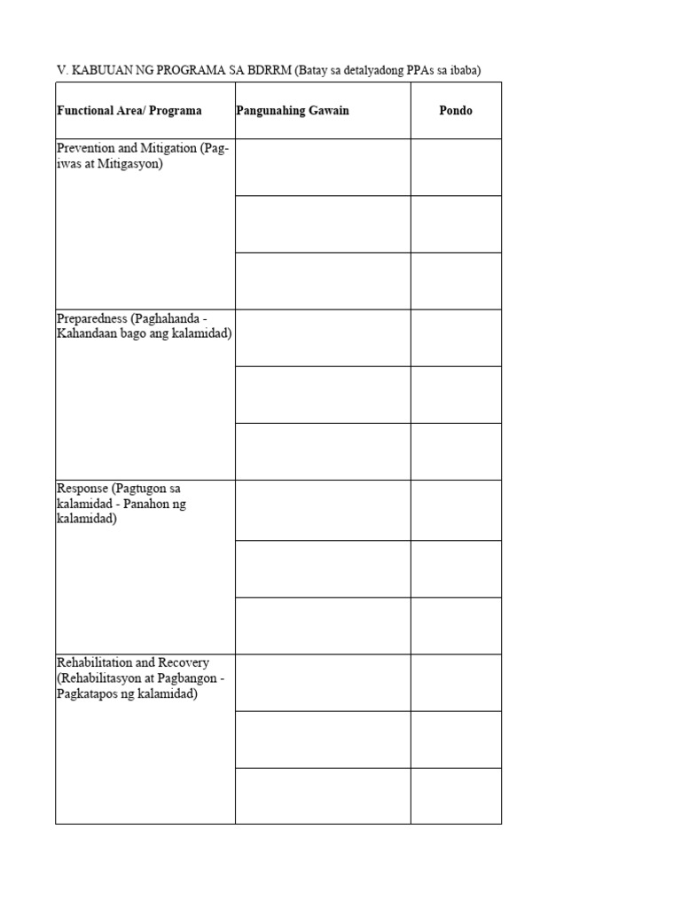 Kabuuan NG Programa Sa BDRRM | PDF