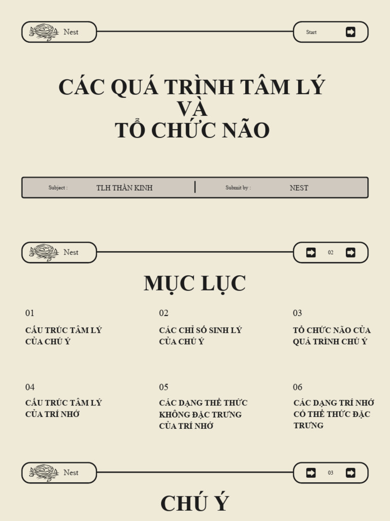 Chú Ý + Trí NH | PDF