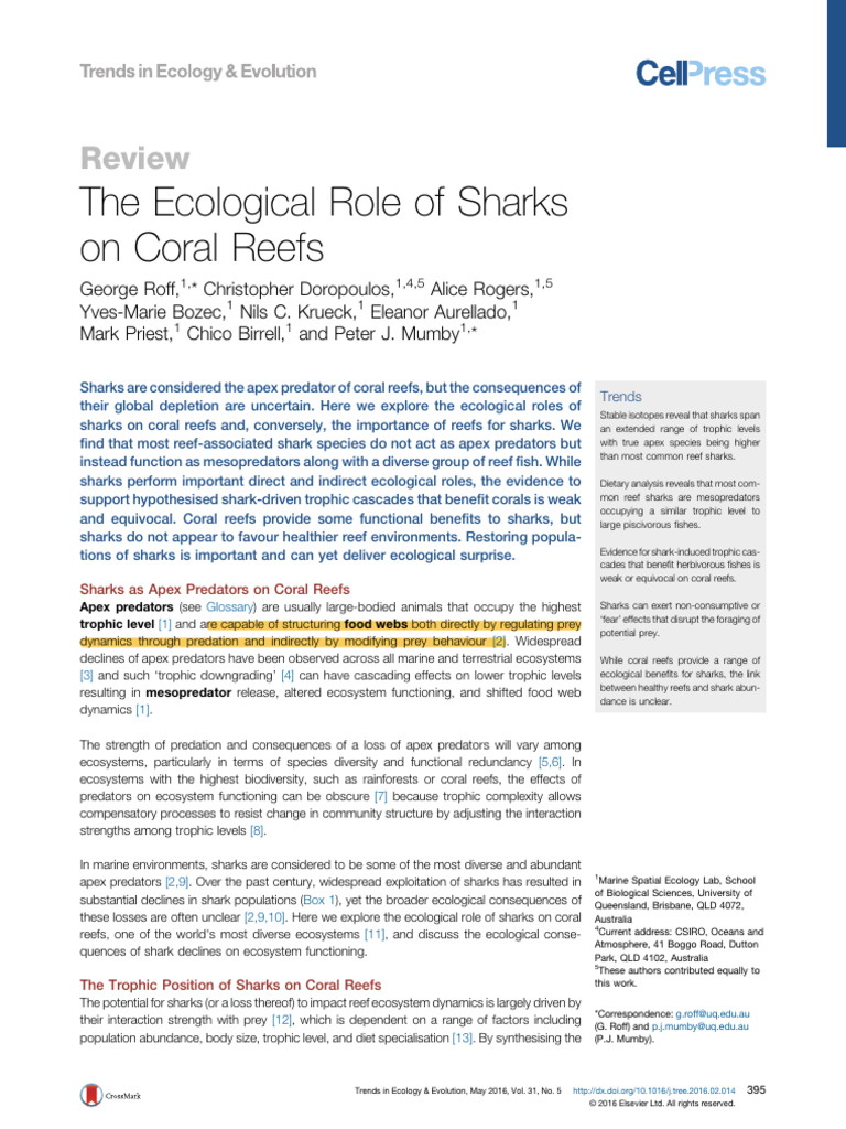 The Ecological Role of Sharks On Coral Reefs | PDF | Food Web | Predation