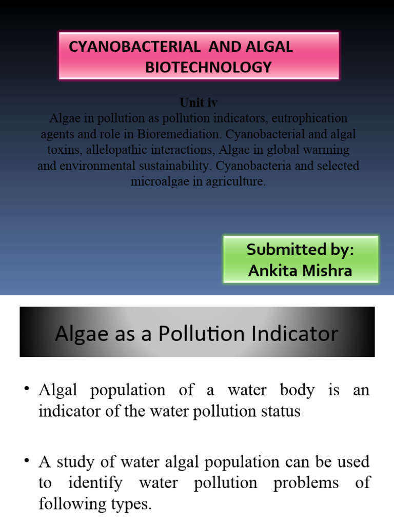 Algae & Cyano | Download Free PDF | Algae Fuel | Sewage Treatment