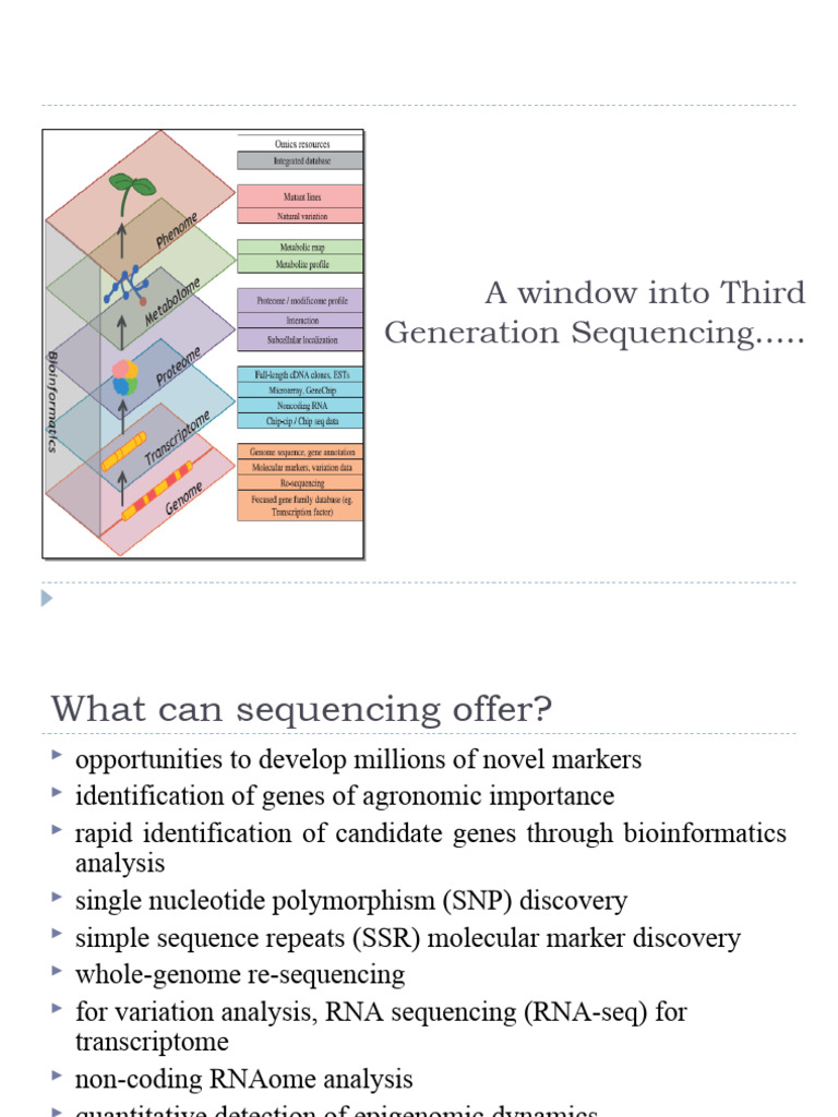 A Window Into Third Generation Sequencing | Download Free PDF | Dna Sequencing | Dna