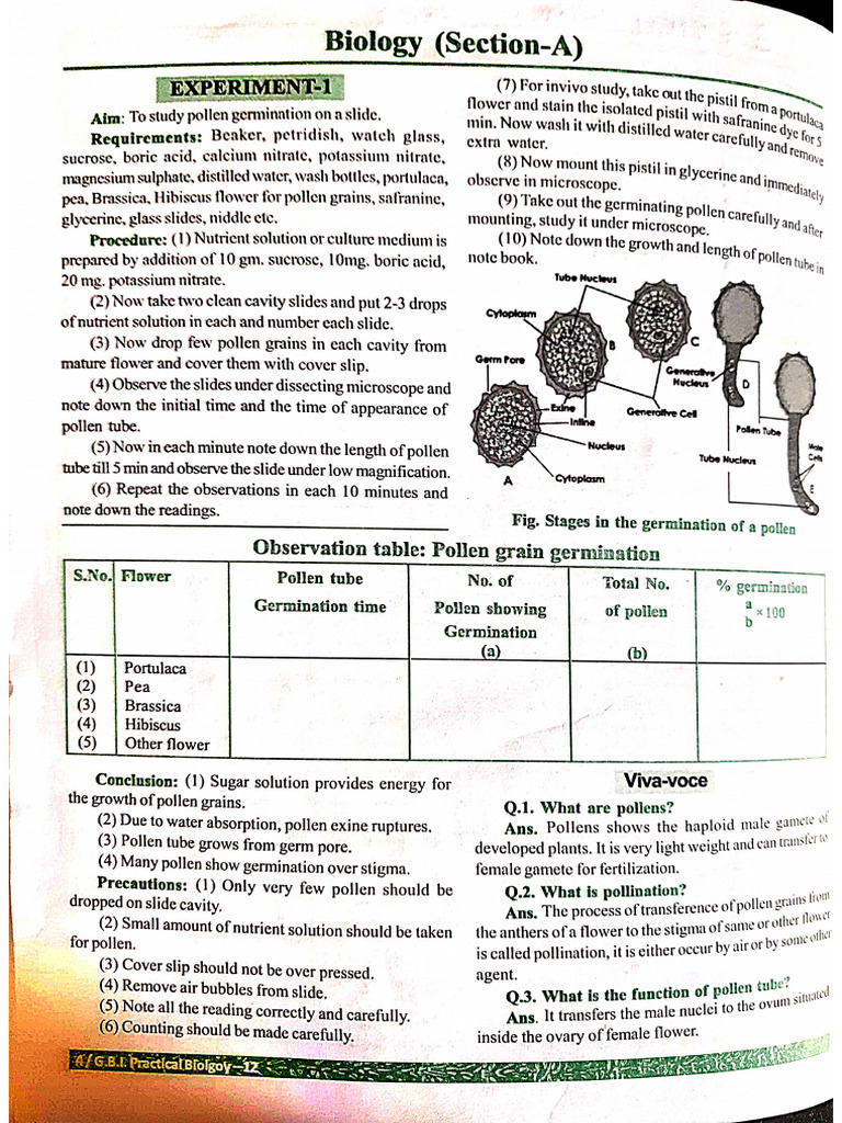 Dear Students, Prepare These Practicals For Biology Practical Exam. | PDF