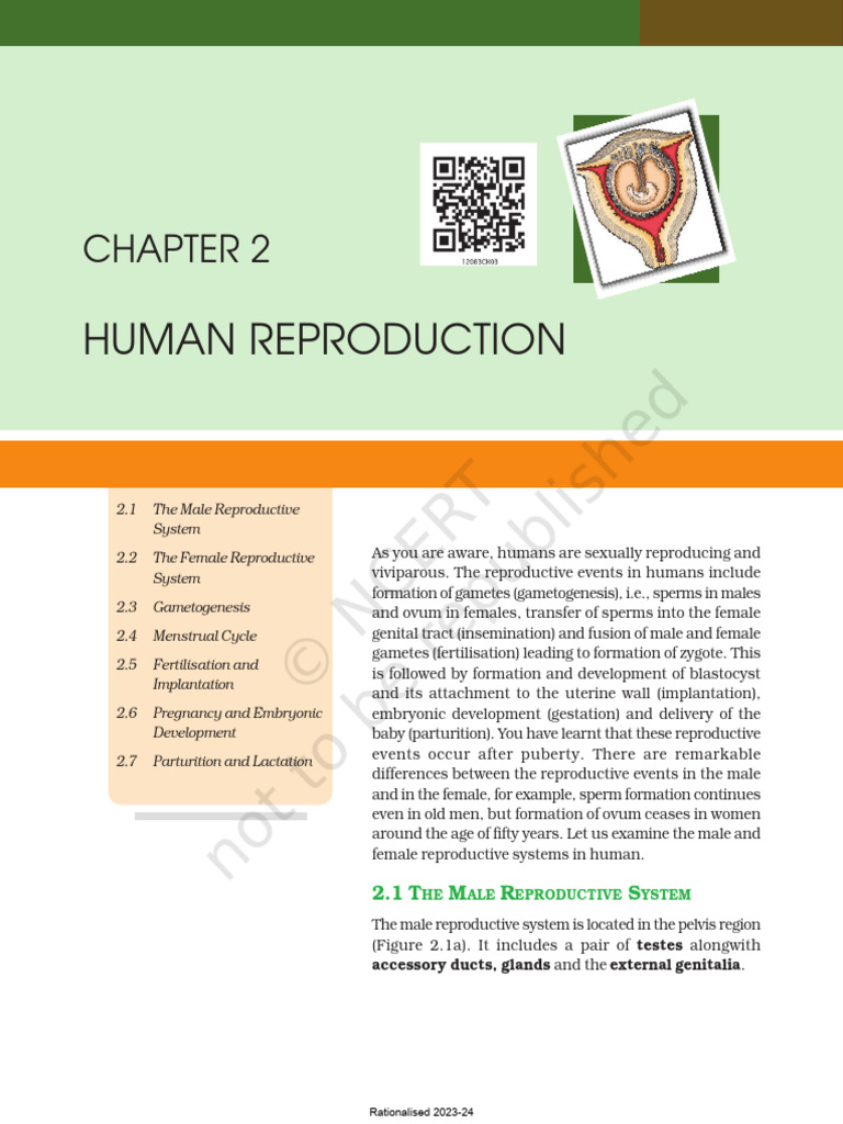 Chapter 3 Biology | PDF | Menstrual Cycle | Testicle