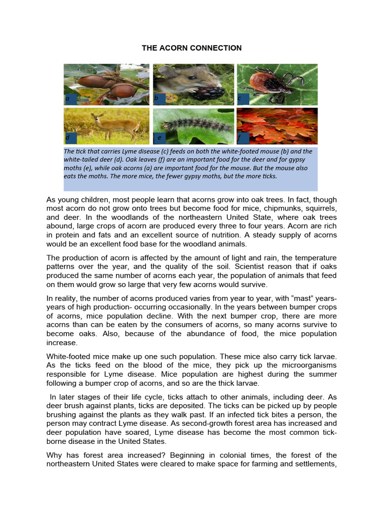 Case-Study-and-Critical-Thinking-Issue | PDF | Salmon | Acorn