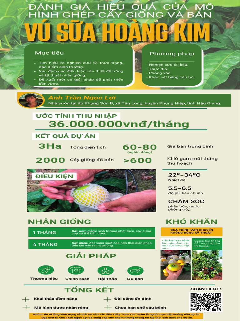 Nhom 3 - Infographic | PDF