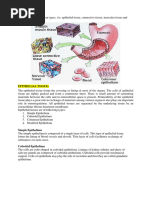 Class 9th Animal Tissue Notes | PDF | Epithelium | Muscle