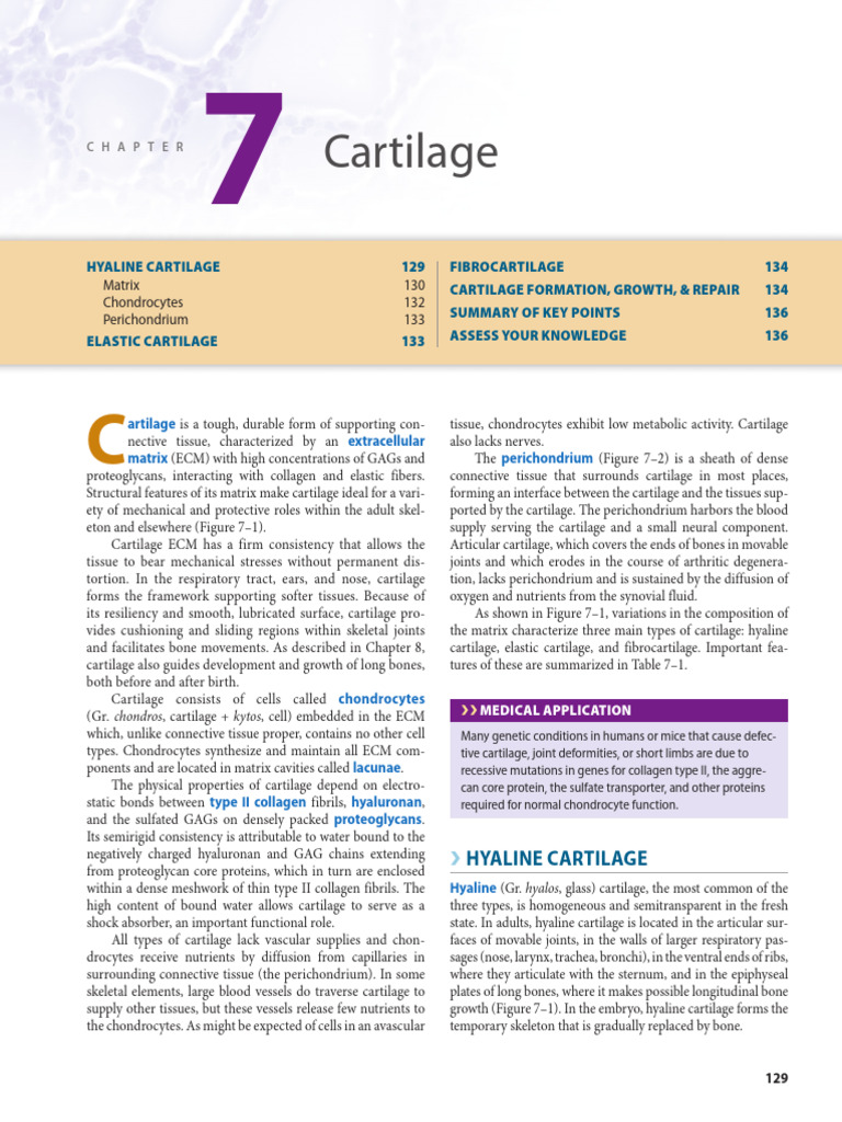 Cartilage 2021 | PDF | Cartilage | Extracellular Matrix