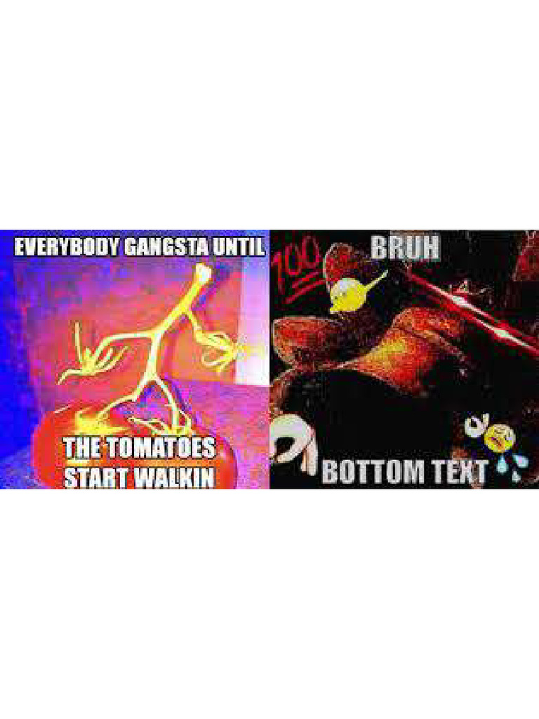 deep fried meme | PDF