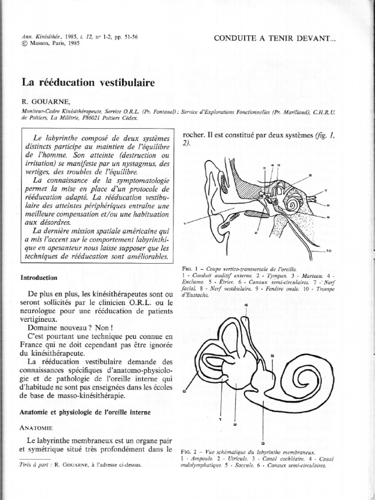 La Rééducation Vestibulaire: Ana Tomie | PDF | vertige | Système nerveux