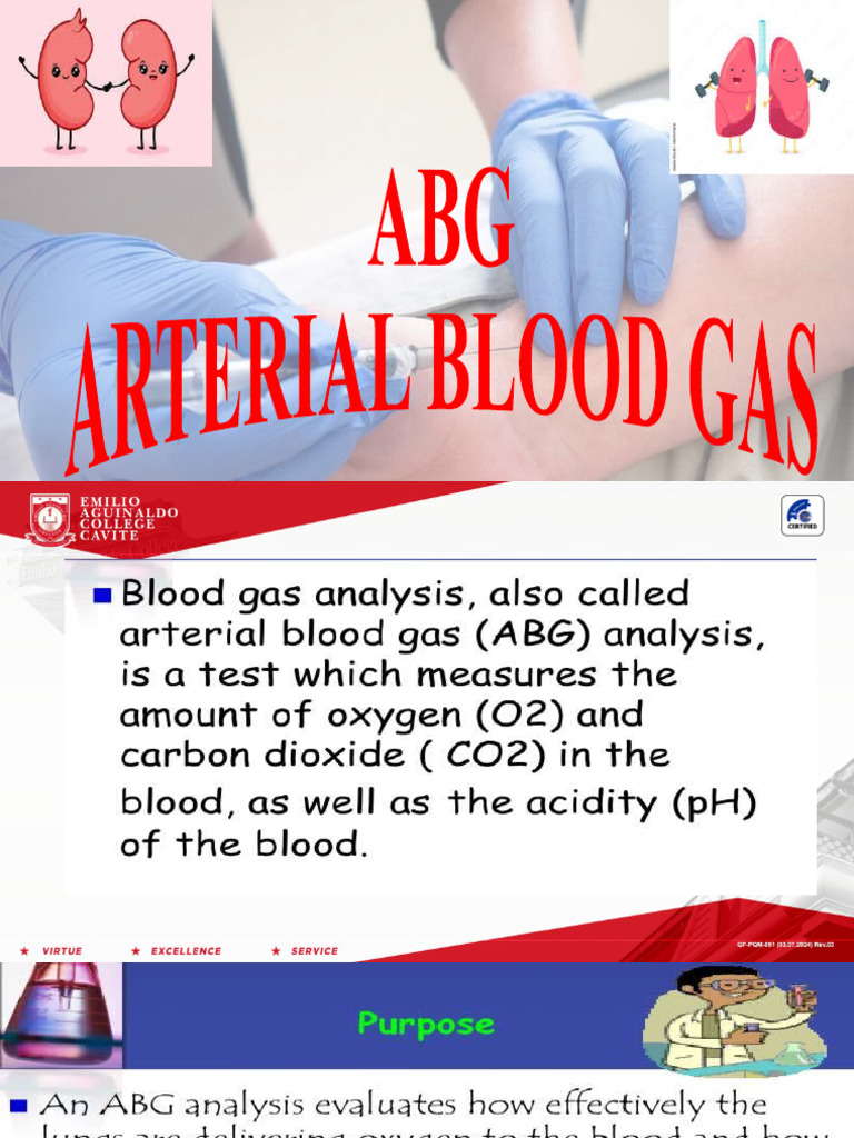 Abg | Download Free PDF | Intensive Care Medicine | Medical Specialties