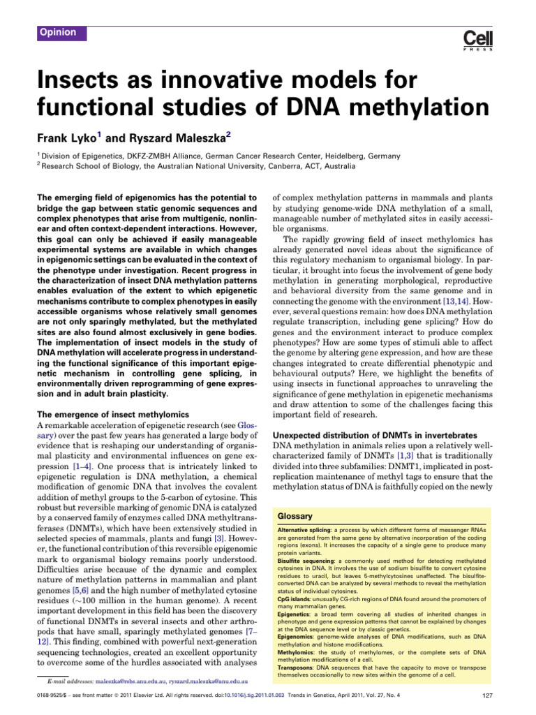 Functional Studies of DNA Methylation | PDF | Dna Methylation | Epigenetics