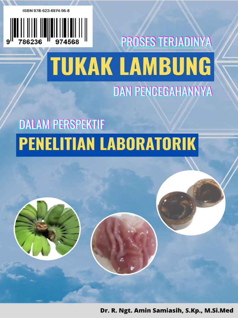 Proses Terjadinya Tukak Lambung Dan Pencegahannya Pdf