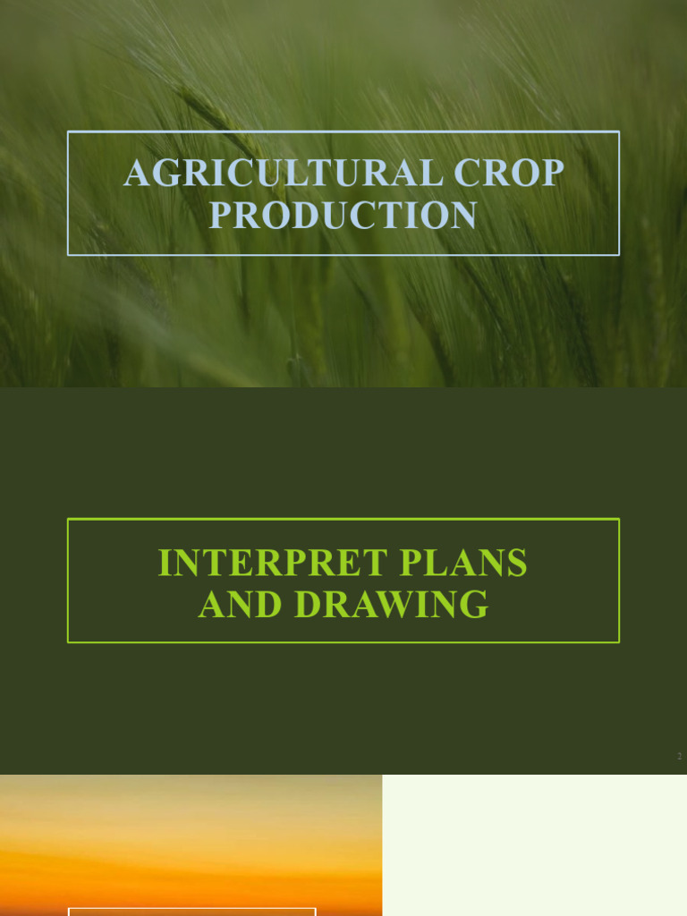 LESSON 4- INTERPRET FARM PLANS AND DRAWING | PDF | Crops | Area