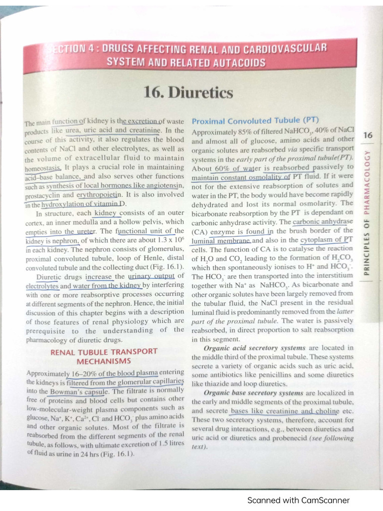diuretics | PDF