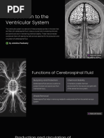 Butler Neural Mobilization | PDF | Nervous System | Nerve