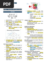 ACTIVITY Protist Dichotomous Key Activity | PDF | Biology | Cell Anatomy