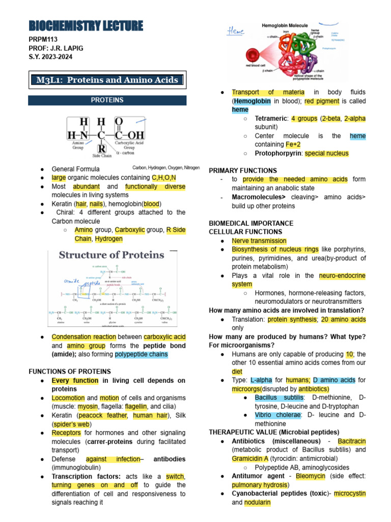 Transes - M3 Proteins - Biochem Lec | Download Free PDF | Amino Acid | Acid