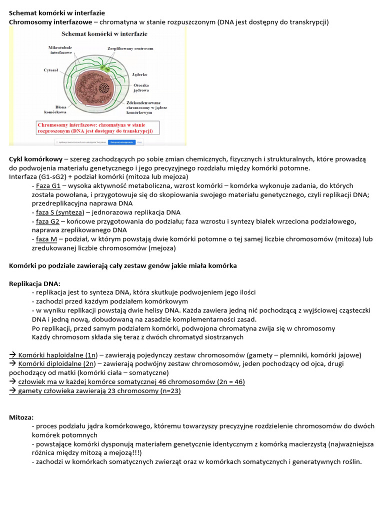 Genetyka Kol1 | PDF